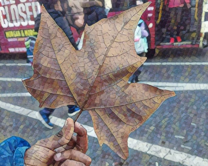 ART: The Perfect Leaf – Philadelphia Stories